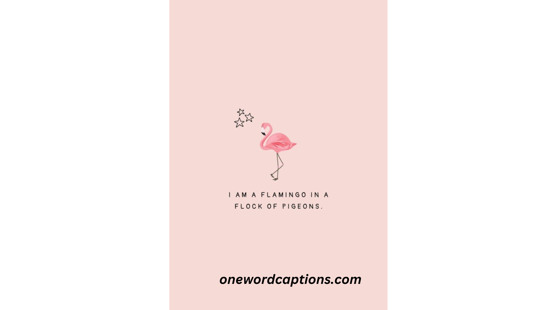 355+ Best One Word Instagram Captions for Girls - One Word Captions