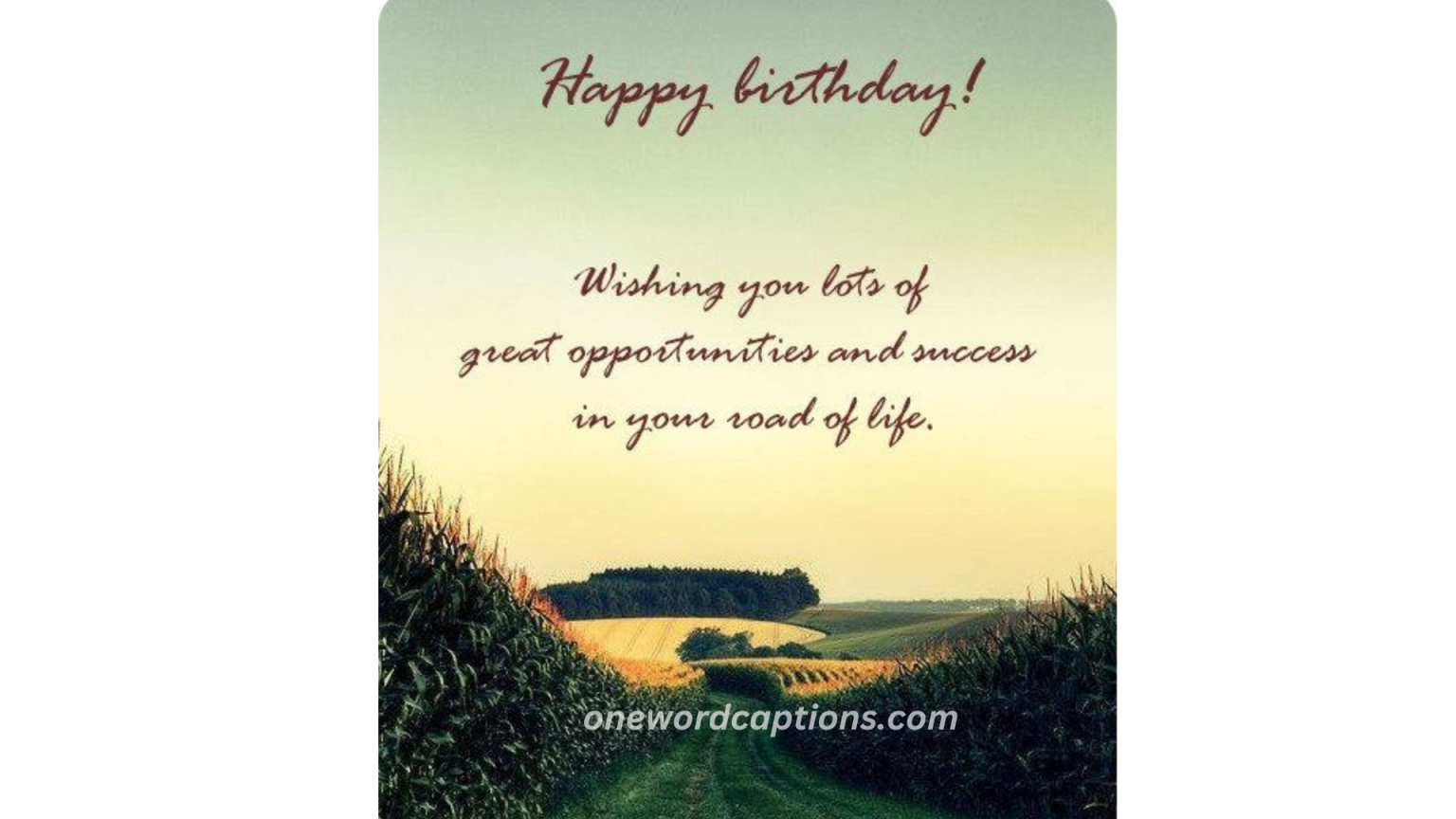 350+ Birthday Captions for Instagram, Facebook & TikTok - One Word Captions
