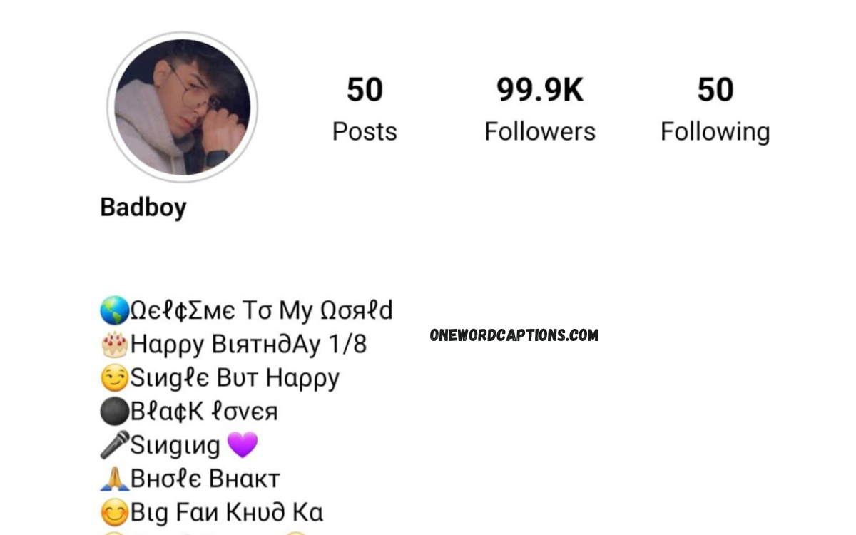 200+ Best Instagram Bio For Boys For Instagram - One Word Captions