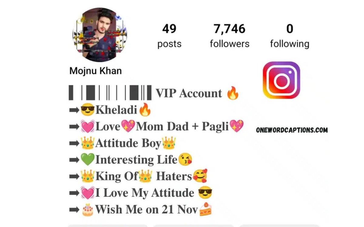 300+ Best Instagram Bio Ideas (Cool, Funny and Creative) - One Word ...