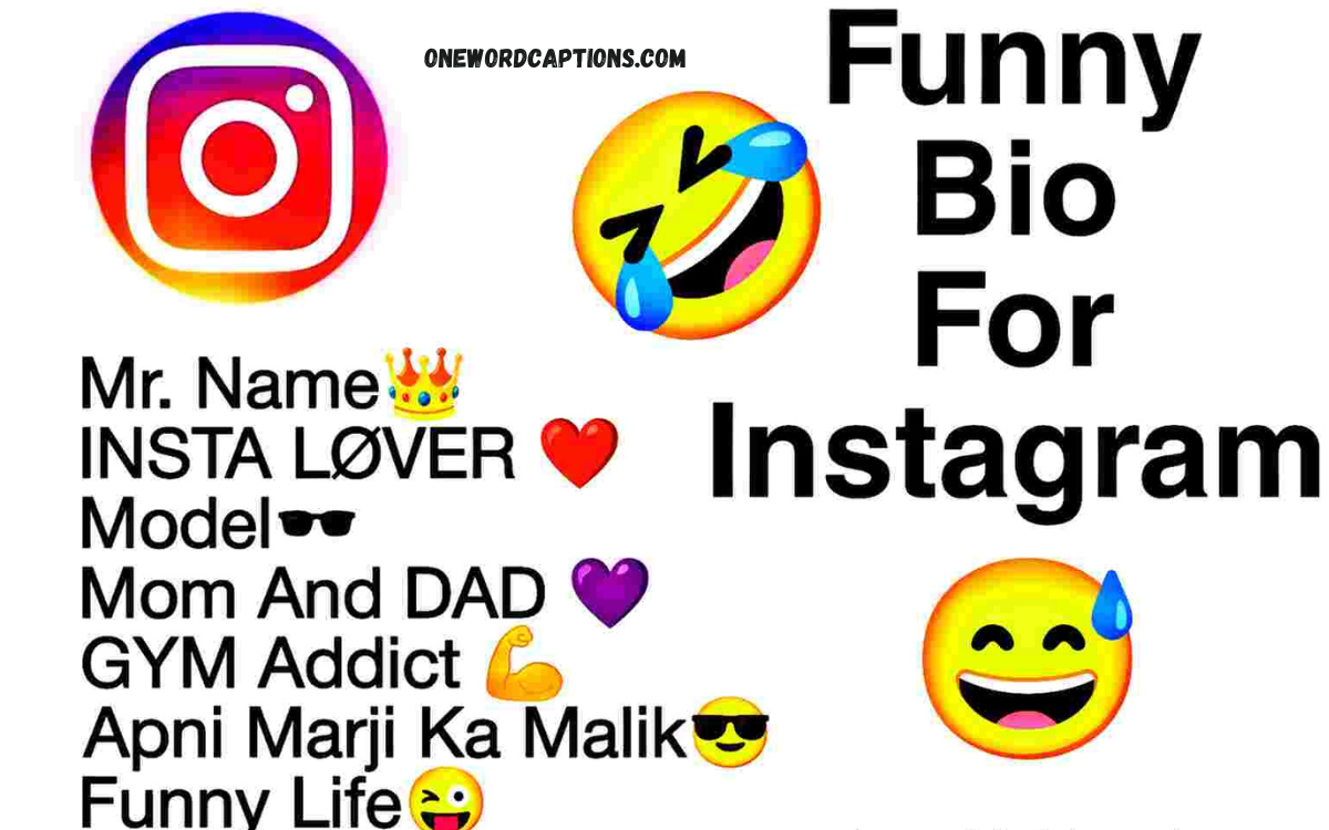 300+ Best Instagram Bio Ideas (Cool, Funny and Creative) - One Word ...