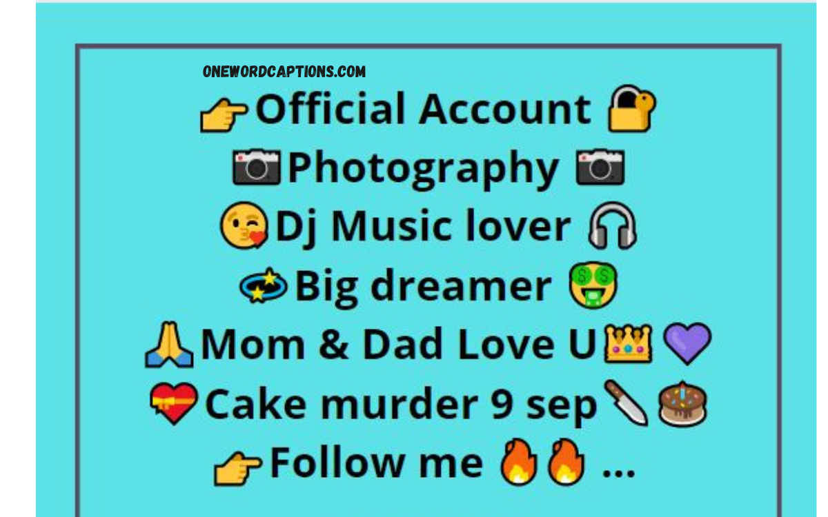 300+ Best Instagram Bio Ideas (Cool, Funny and Creative) - One Word ...