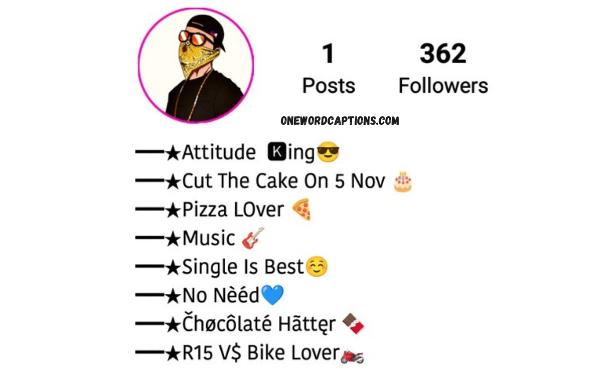 200+ Best Instagram Bio For Boys For Instagram - One Word Captions
