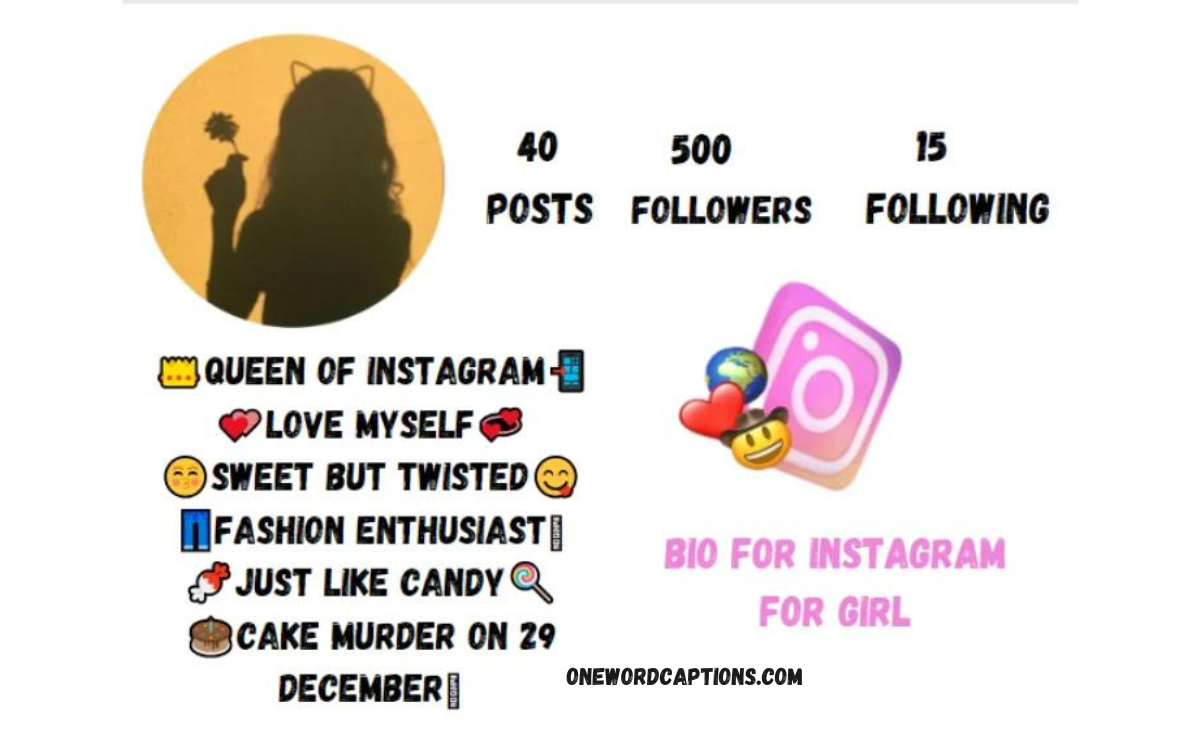 200+ Best Instagram Bio For Girls (2023) - One Word Captions